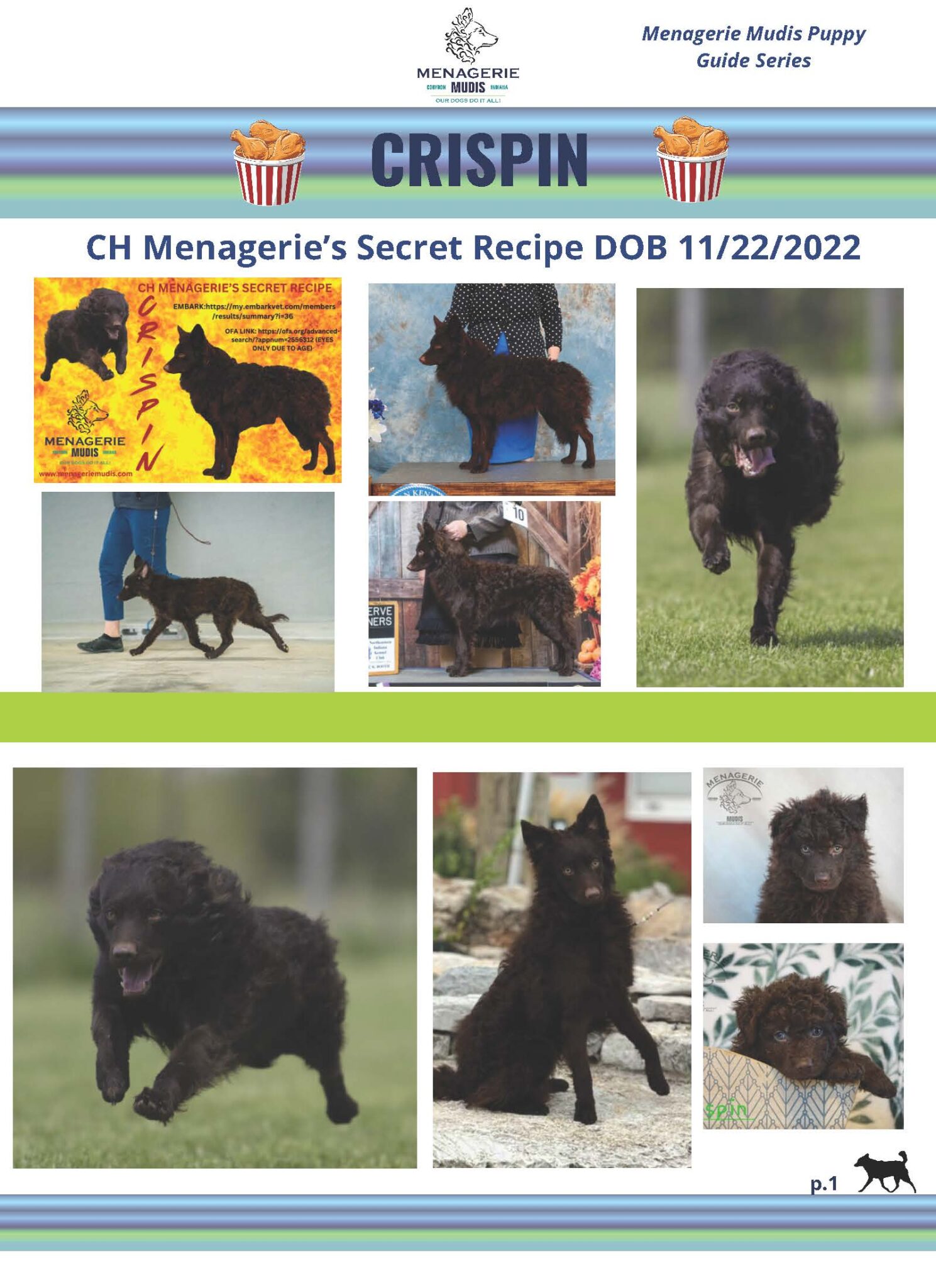 “Crispin” CH Menagerie Secret Recipe – Available for Placement ...